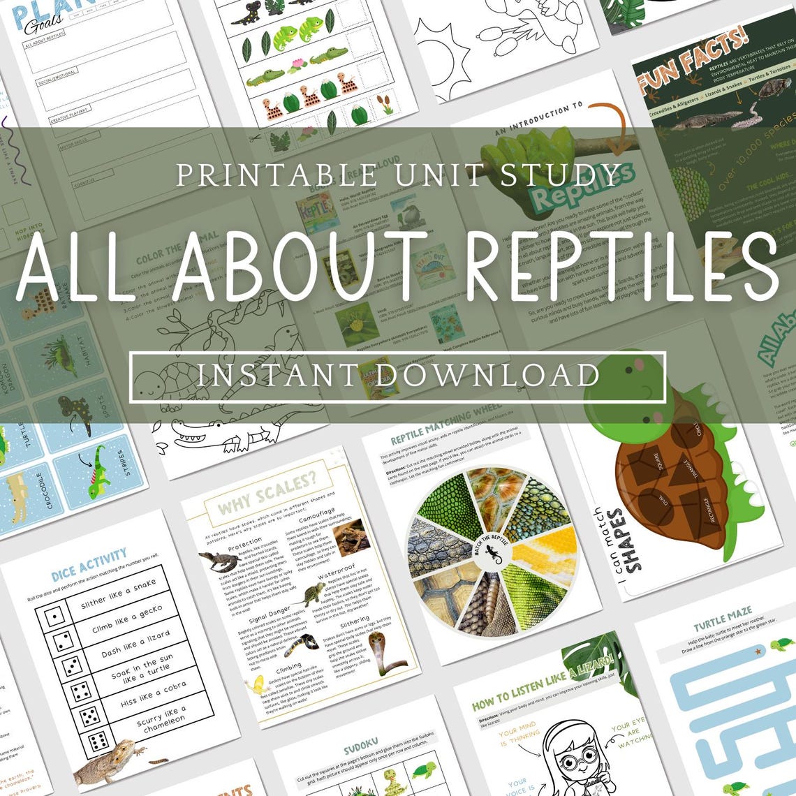 Little Critter Club: All About Reptiles Early Learning Bundle - Etsy