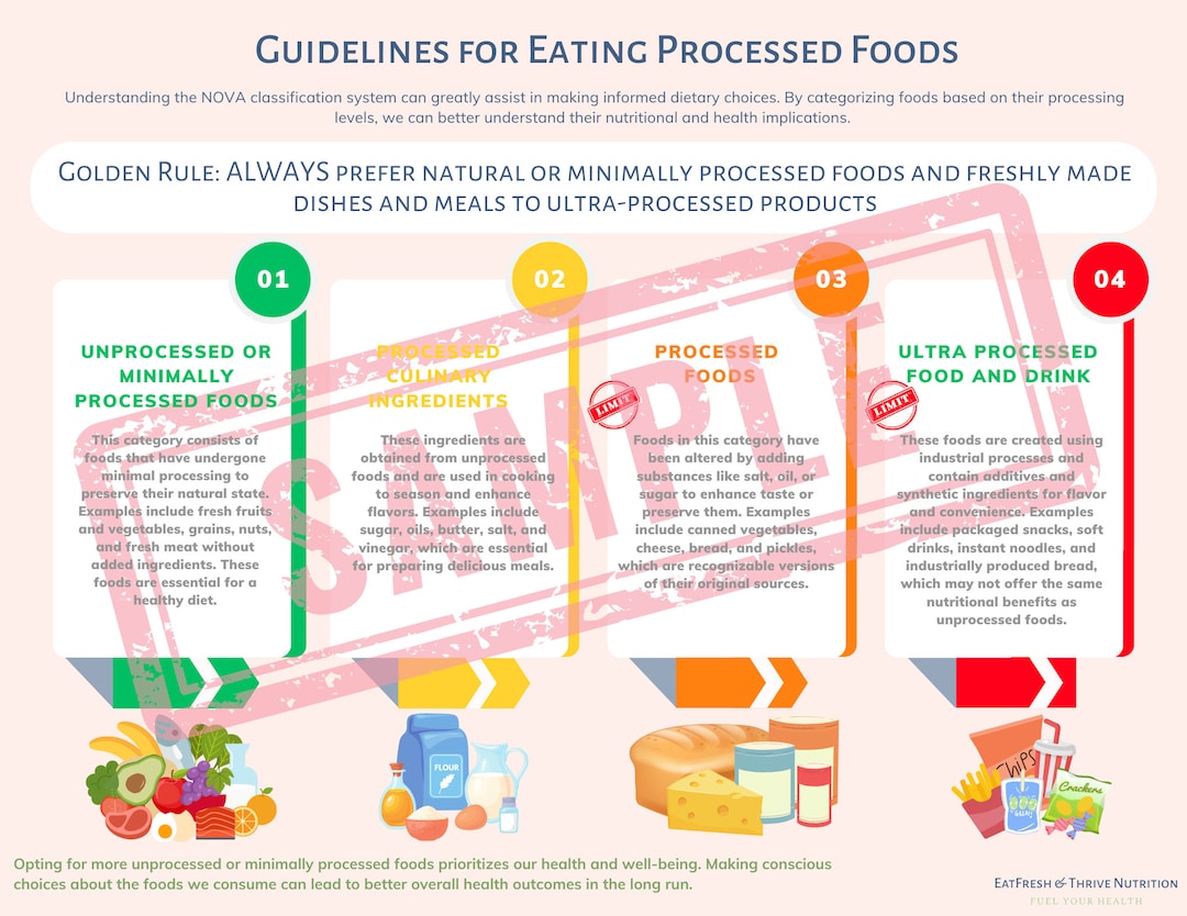 Processed Food Classification Poster, Digital Download ONLY, NOVA ...