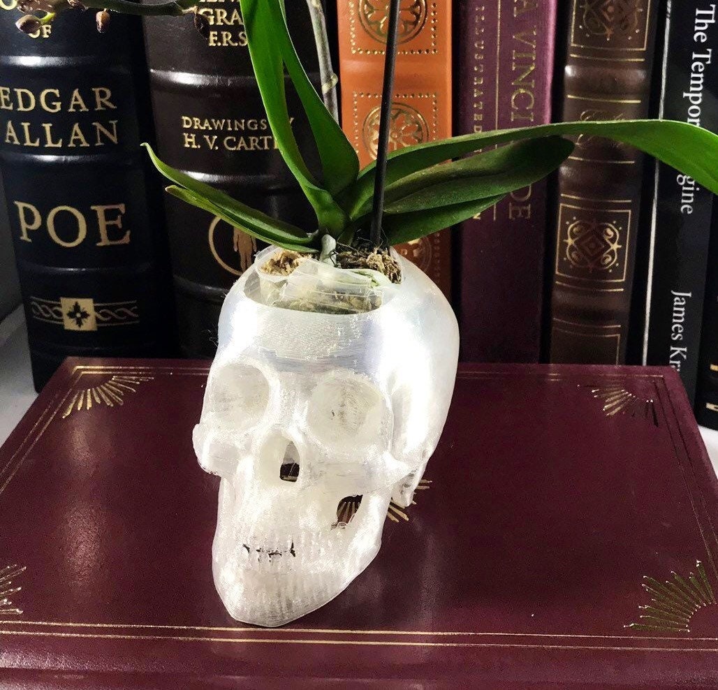 Skull Planter - 3d Printed Skull Planter, Creepy Halloween Planter ...