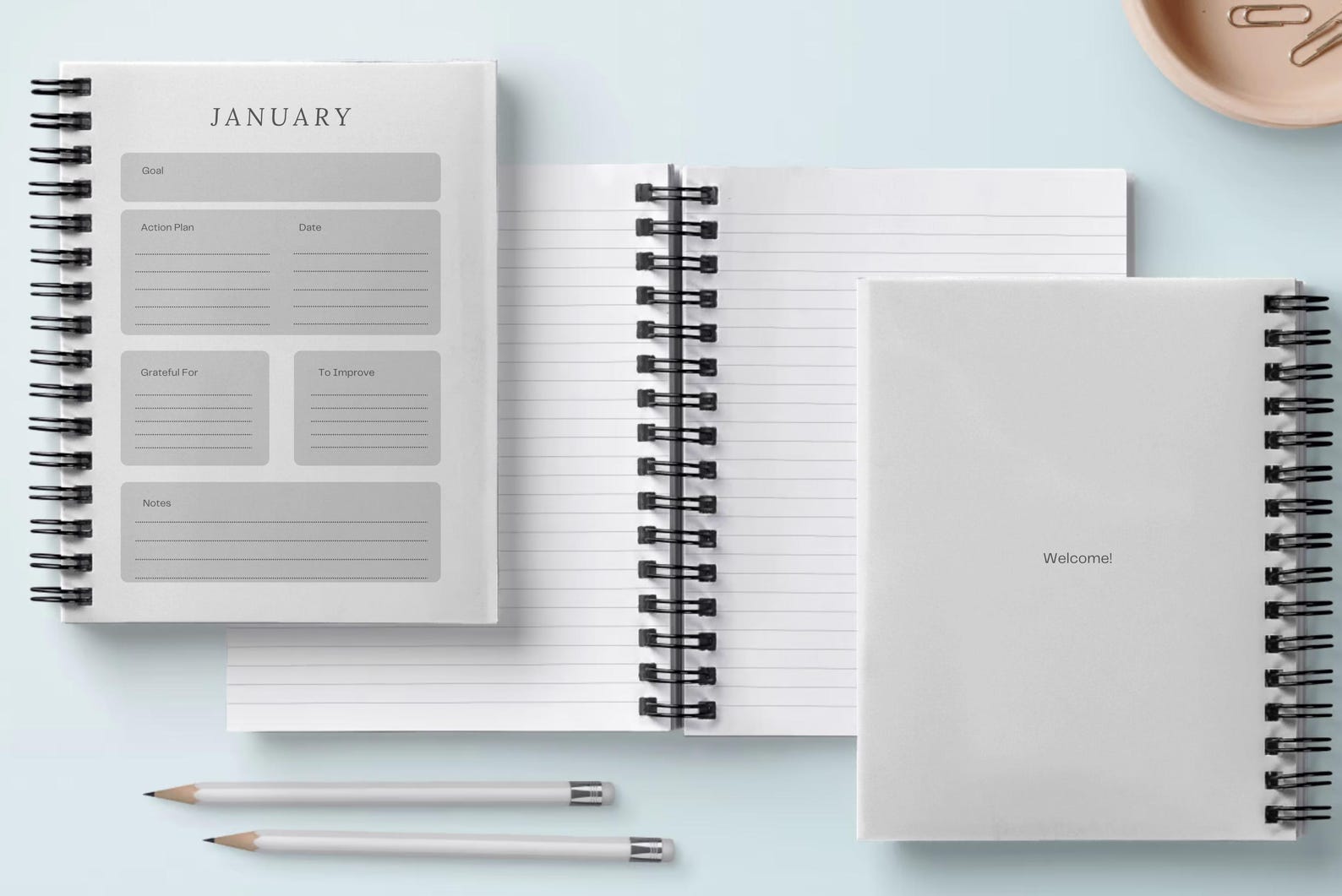 Digital Daily Planner & Budget Tracker: Printable PDF Organizer - Etsy