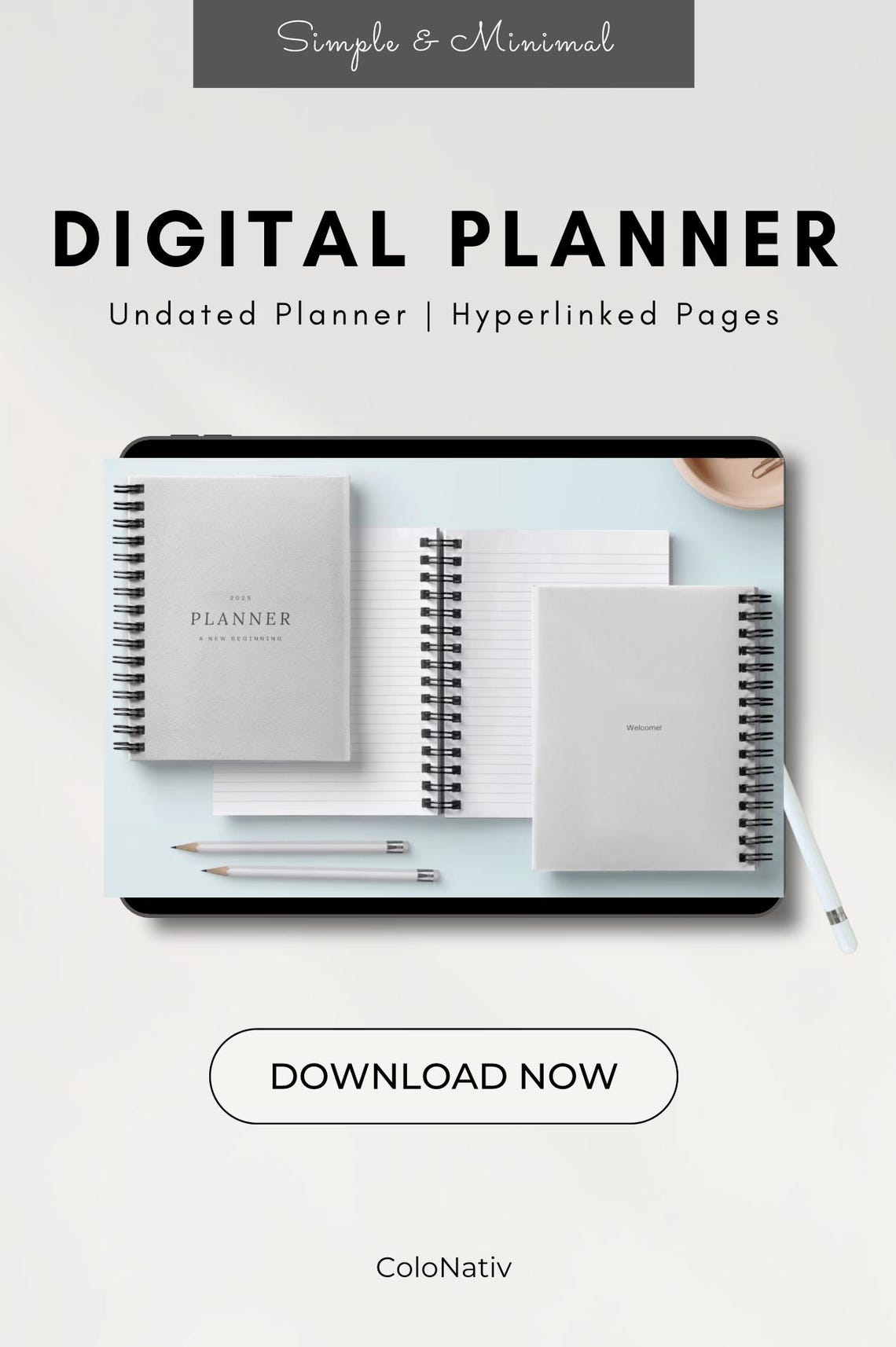 Digital Daily Planner & Budget Tracker: Printable PDF Organizer - Etsy