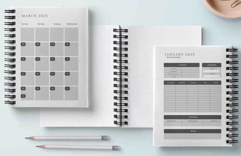 Digital Daily Planner & Budget Tracker: Printable PDF Organizer - Etsy