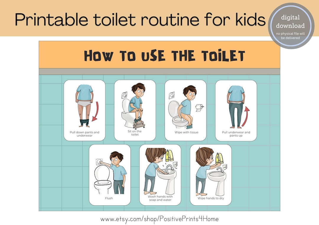 Potty Training Routine Chart | Visual Sequence, Push Button Flush ...