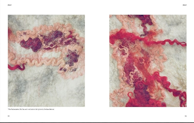 FELT (veltinis) Book by Vilte Kazlauskaite in Pdf File - Etsy