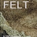 FELT (veltinis) Book by Vilte Kazlauskaite in Pdf File - Etsy