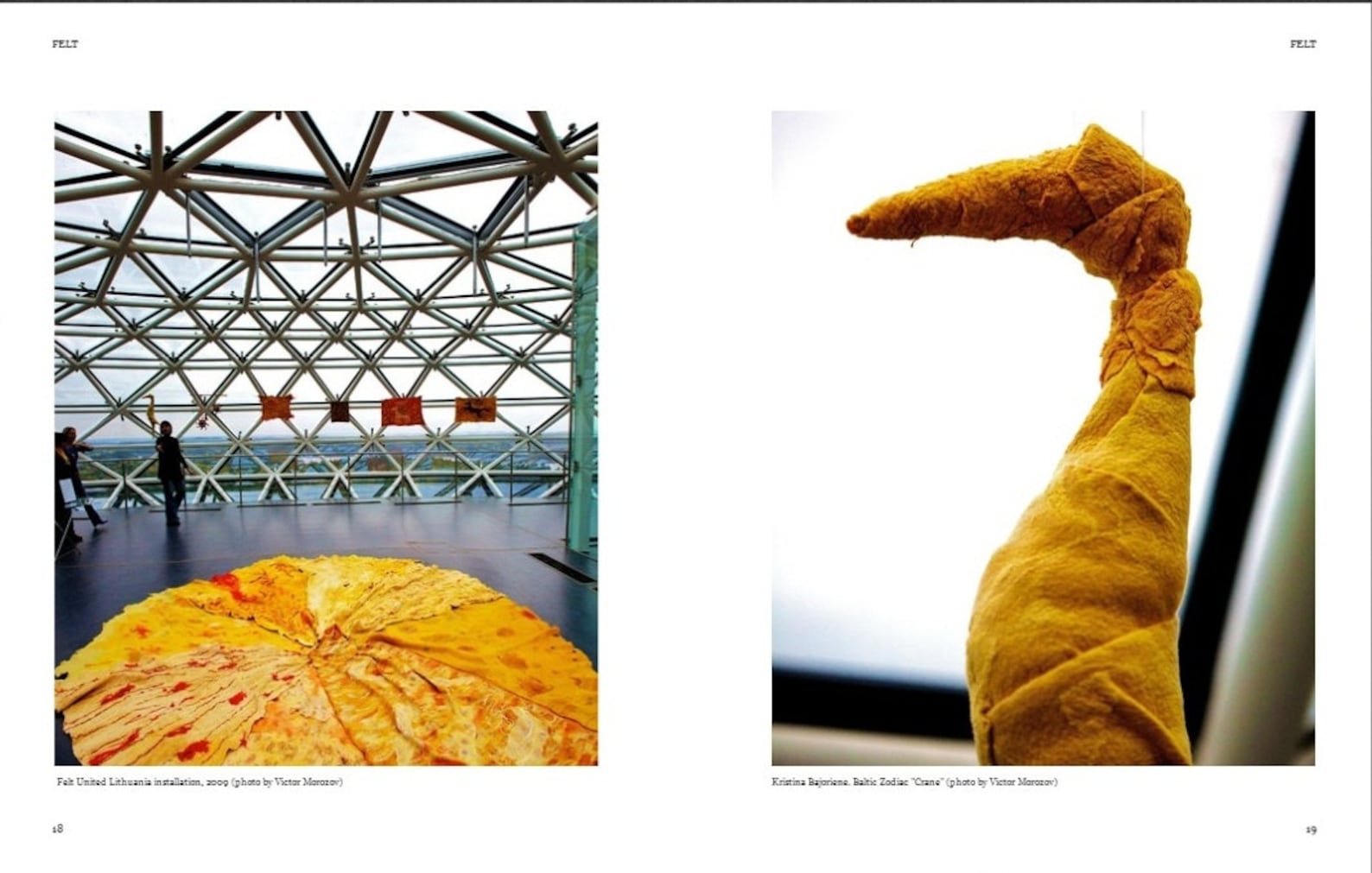 FELT (veltinis) Book by Vilte Kazlauskaite in Pdf File - Etsy