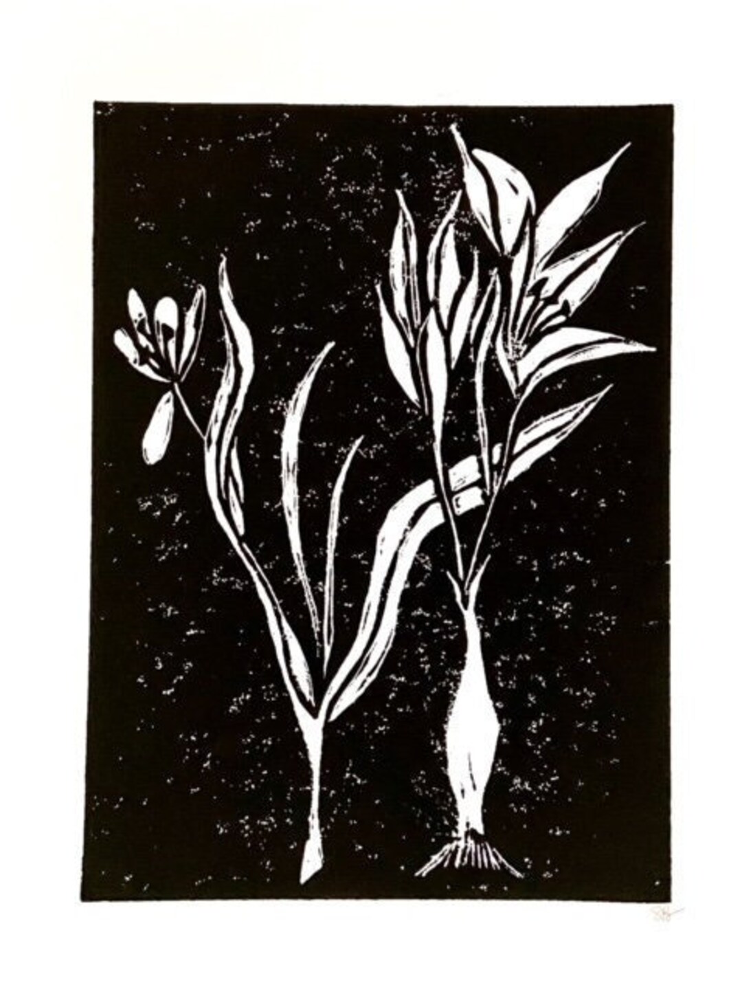 Autumn Crocus Flower - Linoleum Block Print - 9"x12" Wall Art - Etsy