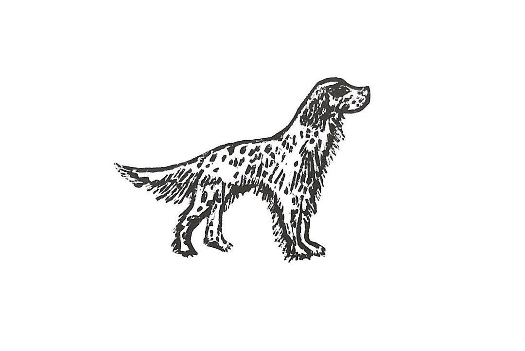 English Setter - Dog Breed - Linoleum Block Print - 9"x12" Wall Art - Etsy