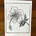 Hibiscus Flower - Linoleum Block Print - 9"x12" Wall Art - Etsy
