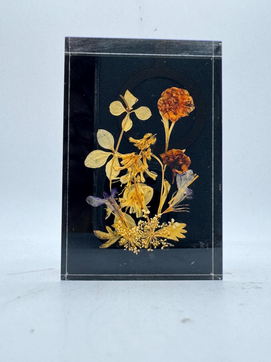 Vintage Lucite Paperweight Art Piece Real Dried Flowers Dna-brillant ...