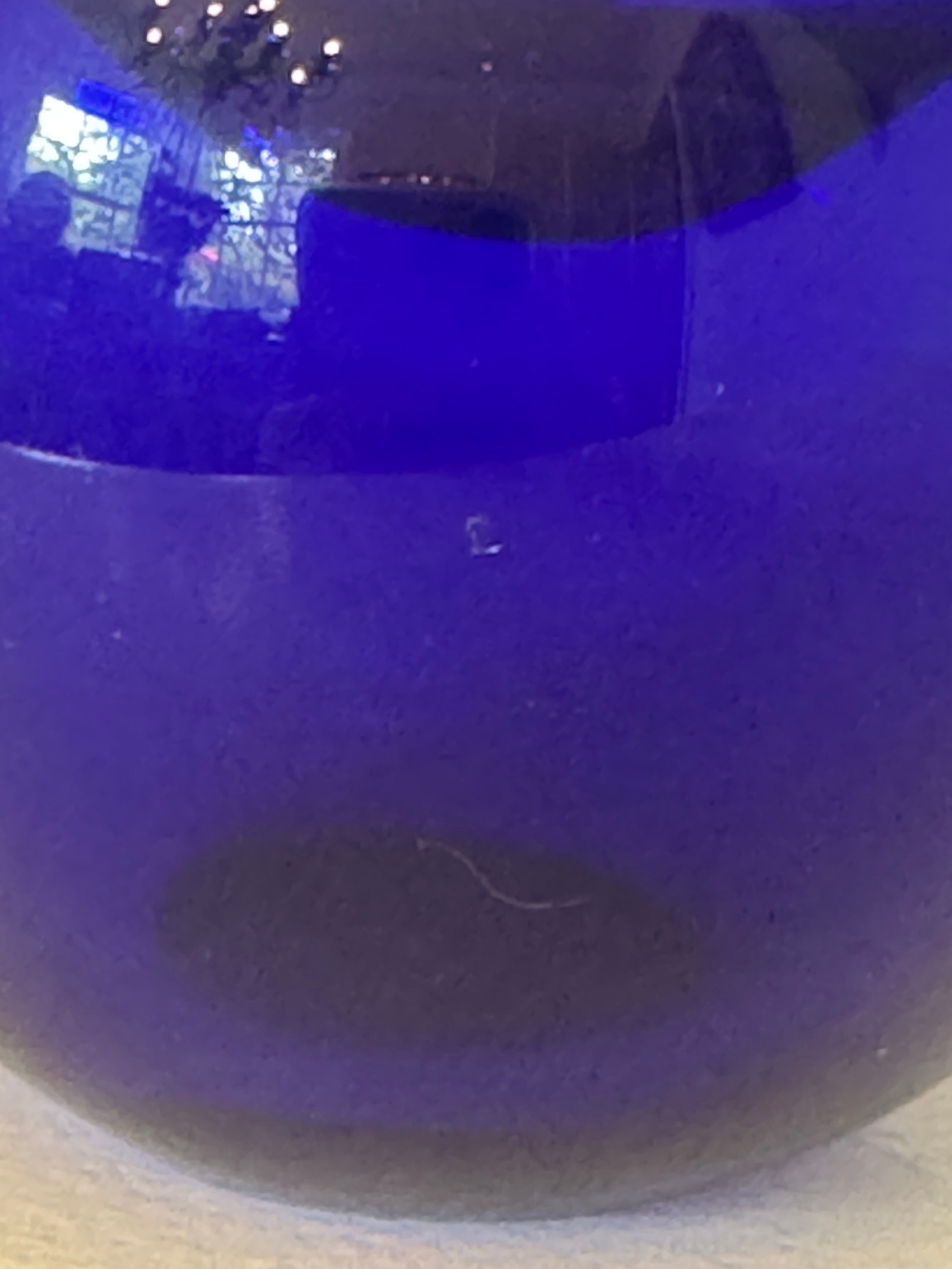 Vintage Art Glass Cobalt Blue Apple Paperweight - Etsy
