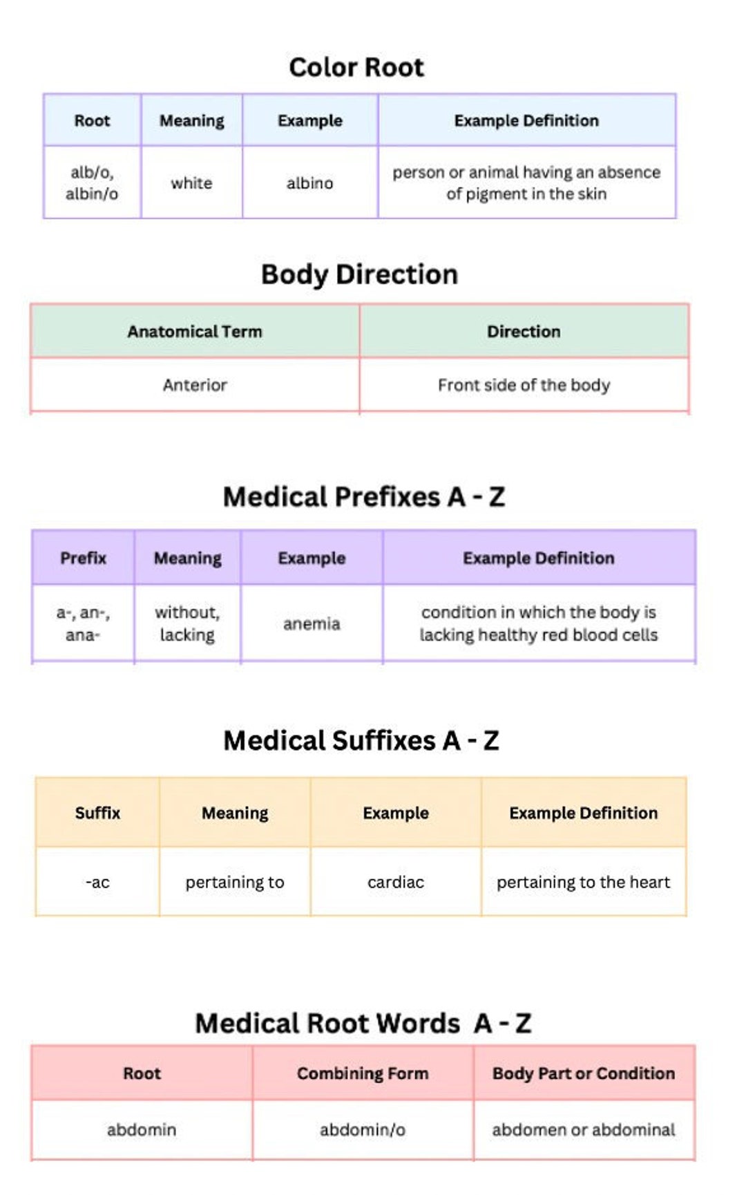 Medical Terminology Bundle - Colors, Body Direction, Prefixes, Suffixes ...