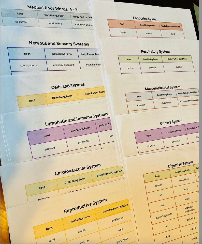 Medical Terminology - Root Words, Body Systems - Endocrine, Respiratory ...