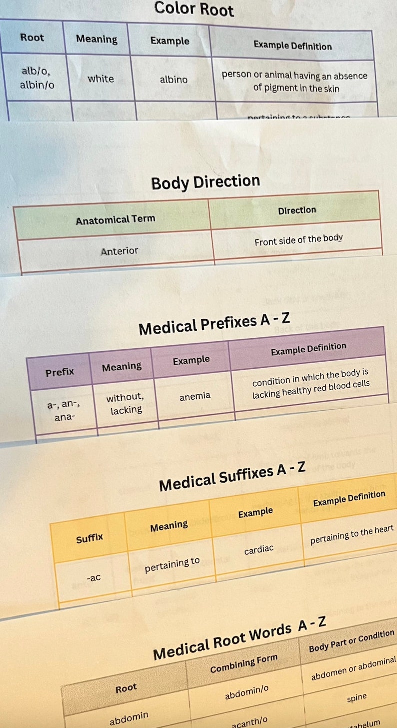 Medical Terminology - Colors, Body Direction Prefixes, Suffixes and ...
