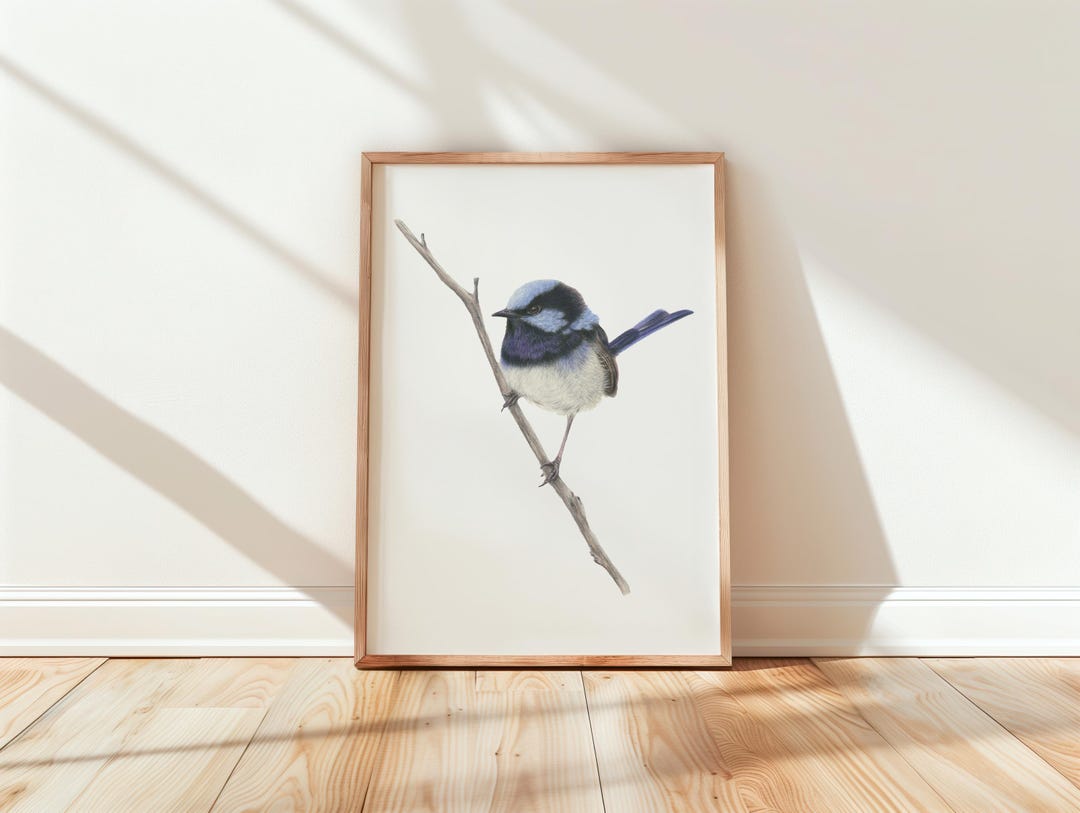 Winston - Blue Wren Fine Art Print - Etsy Australia