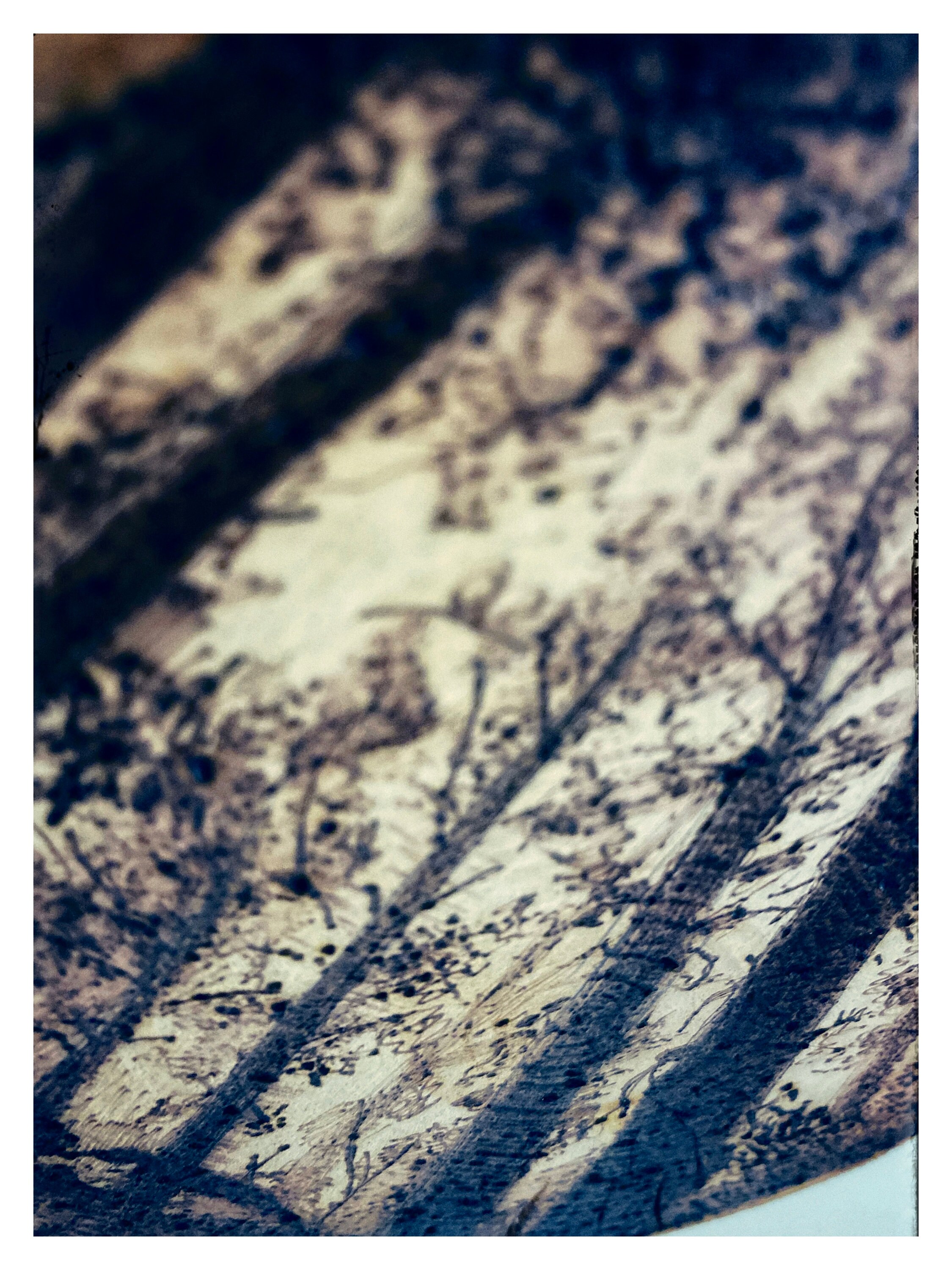 Original Wood Burning Picture. Forest. Pyrography Art Wall Decor. Art ...