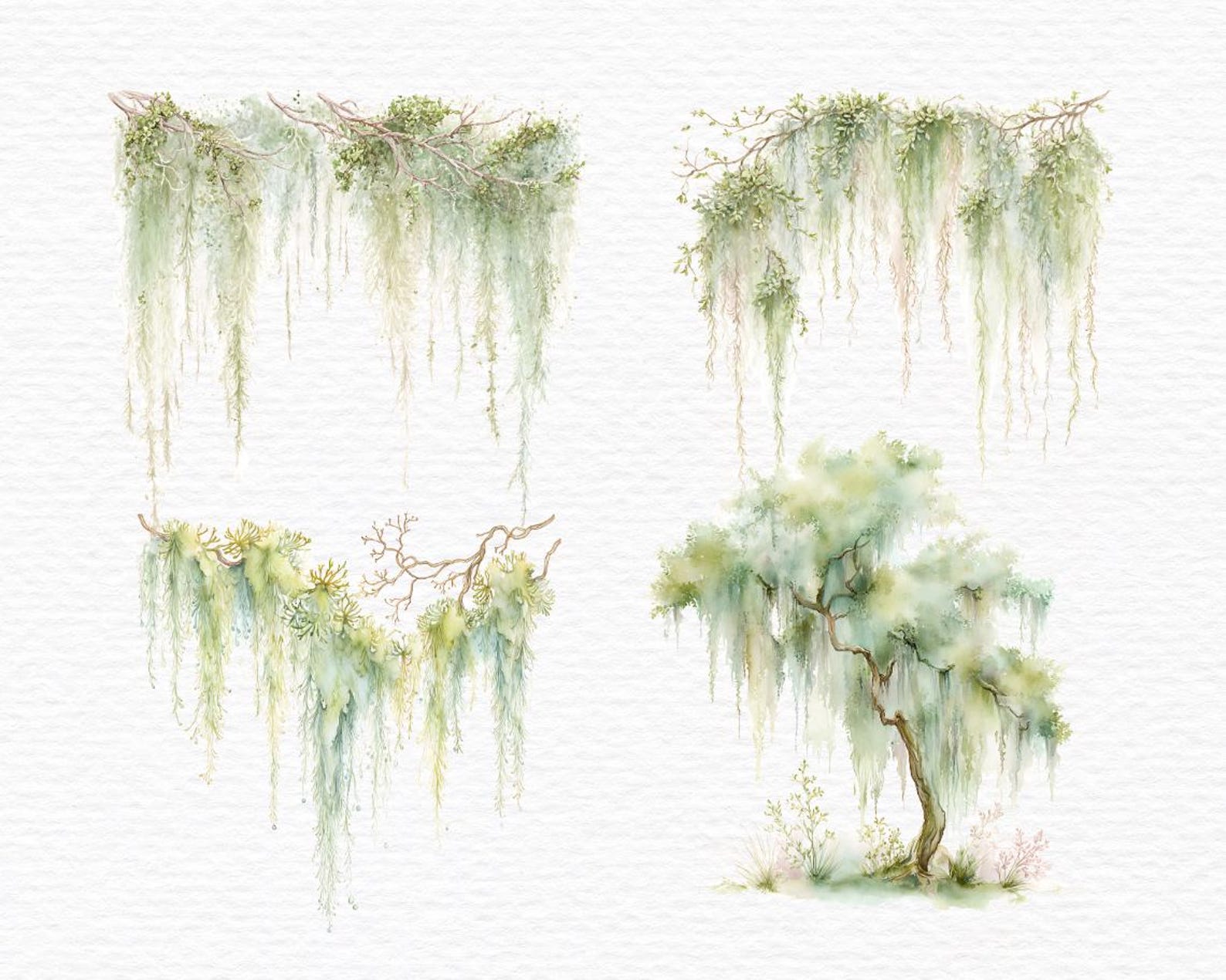 Spanish Moss Clipart, With Bluebirds and Butterflies. Hanging Moss ...