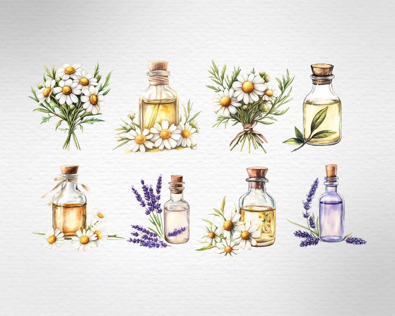 Herbal Oil Clipart, Herbal Oil, Herbal Clipart, Oil Jar, Oil Bottle ...