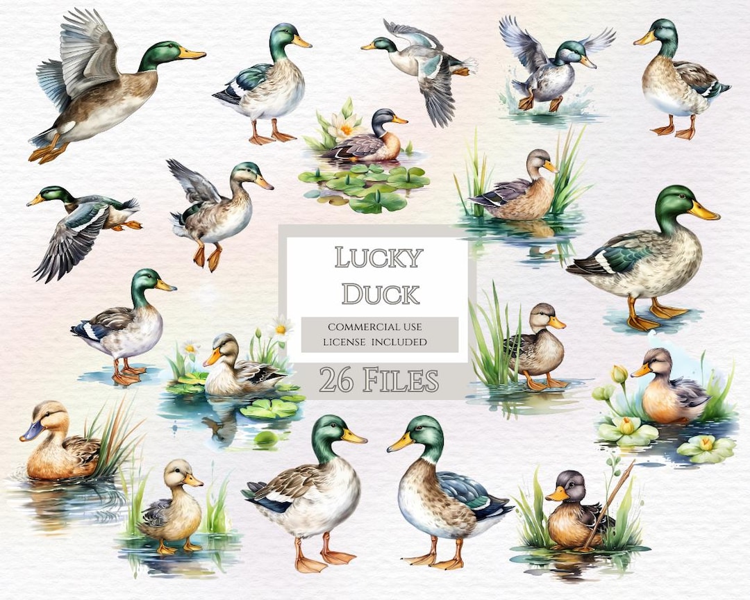 One Lucky Duck Birthday Decorations, Duck in Puddle Clipart ...