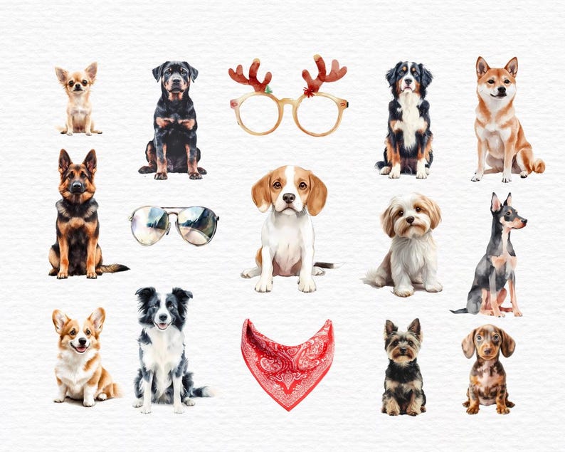 Watercolor Dog Accessories Clipart, Dog Clip Art, Pet Portrait, Puppy ...