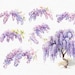 Wisteria Tree Clipart, Digital Crafting, Paper Craft, Instant Download ...