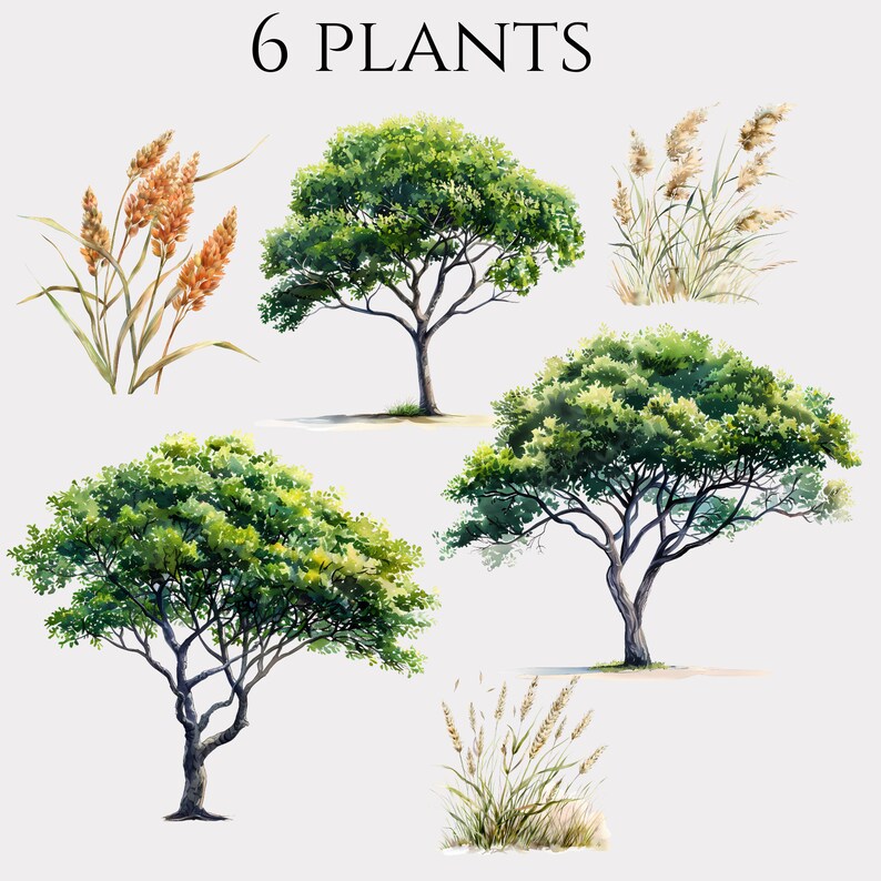 Jungle Clipart Bundle, Watercolor Jungle Cute Baby Animals Pngs, Safari ...