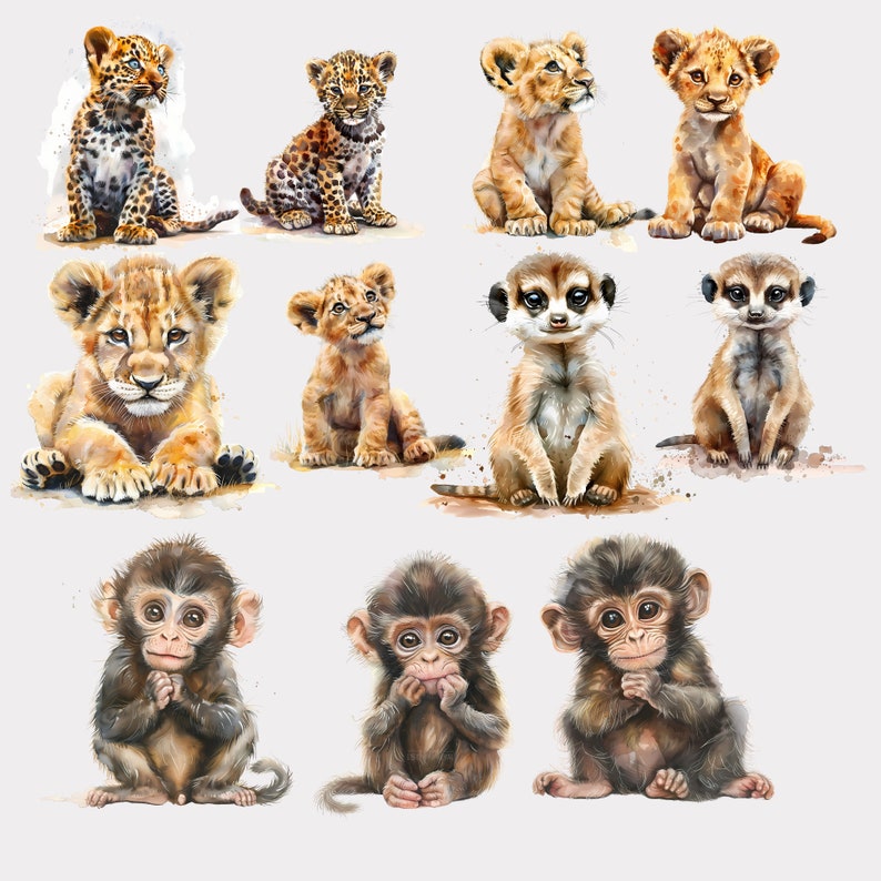 Jungle Clipart Bundle, Watercolor Jungle Cute Baby Animals Pngs, Safari ...