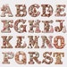 Watercolor Pink Gingerbread Cookies Alphabet Clipart, 26 High Quality ...
