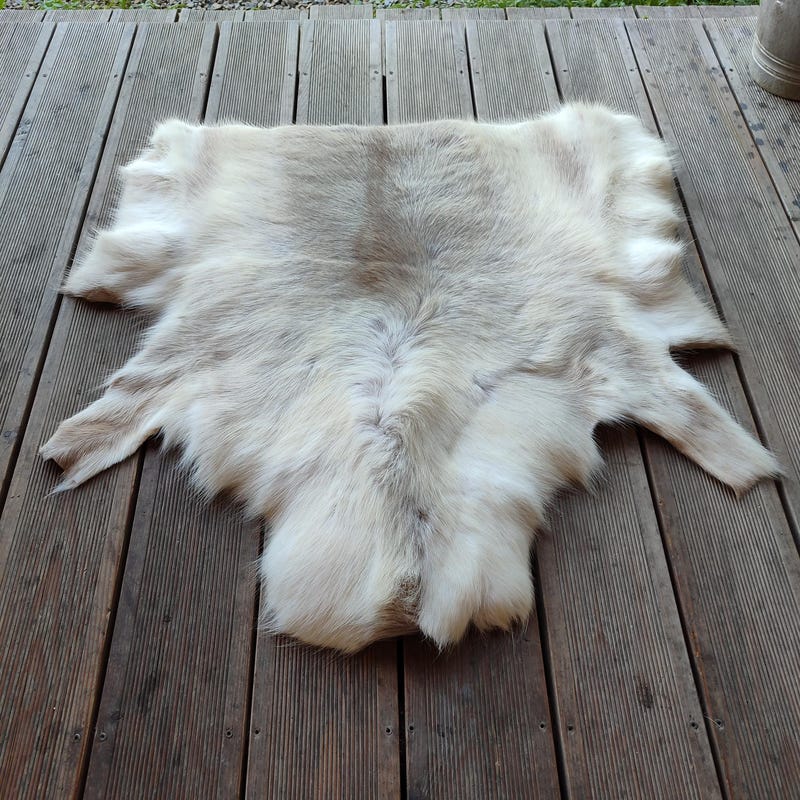Wolf Skin Rug - Etsy
