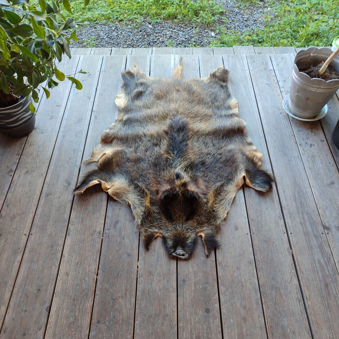 Large Wild Boar Skin Hide Pelt Fur Area Rug Natural Real Area Carpet ...