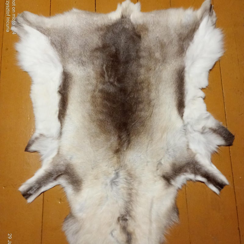 Wolf Skin Rug - Etsy