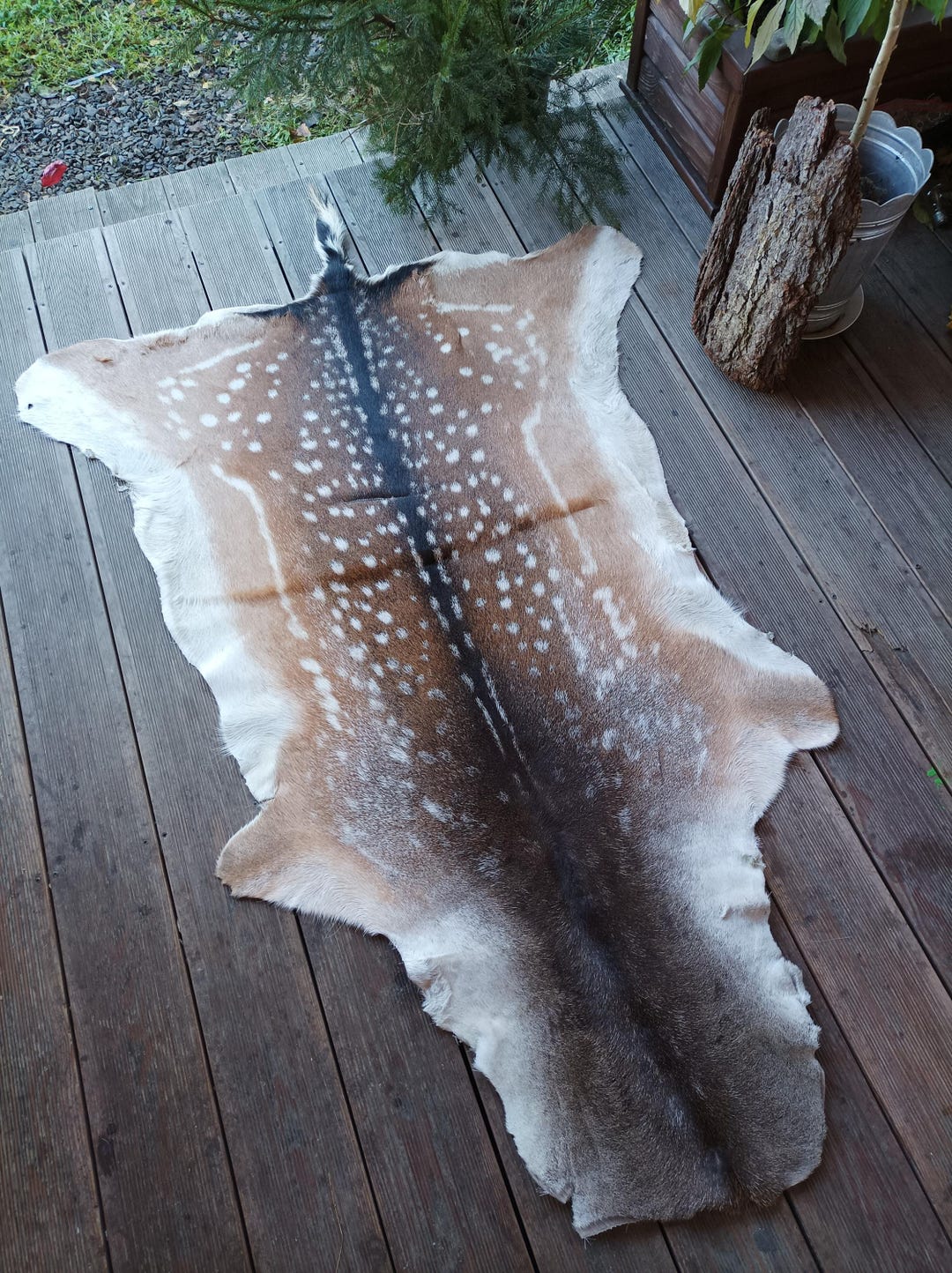Fallow Deer Skin Deer Skin Hide Pelt Fur Luxury Soft Area Rug Carpet ...