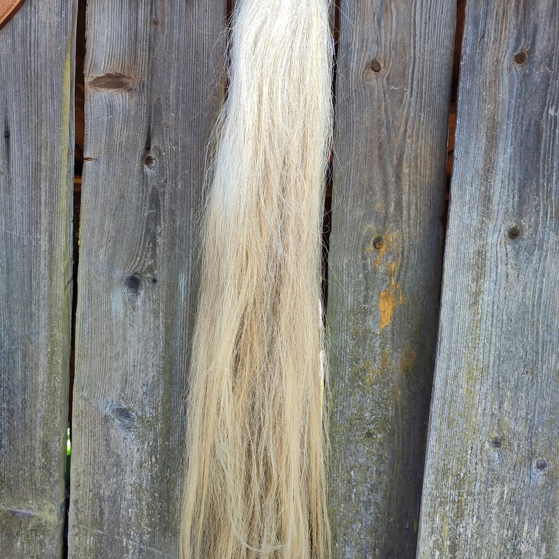 Butt Plugs Tails - Etsy