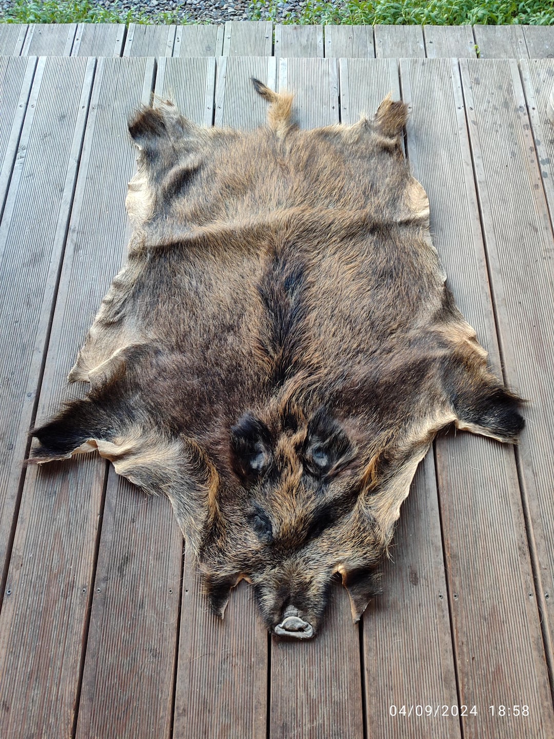 Large Wild Boar Skin Hide Pelt Fur Area Rug Natural Real Area Carpet ...