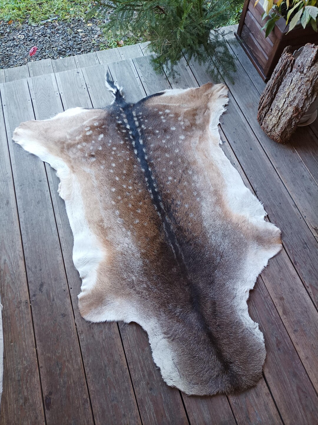 Fallow Deer Skin Deer Skin Hide Pelt Fur Luxury Soft Area Rug Carpet ...