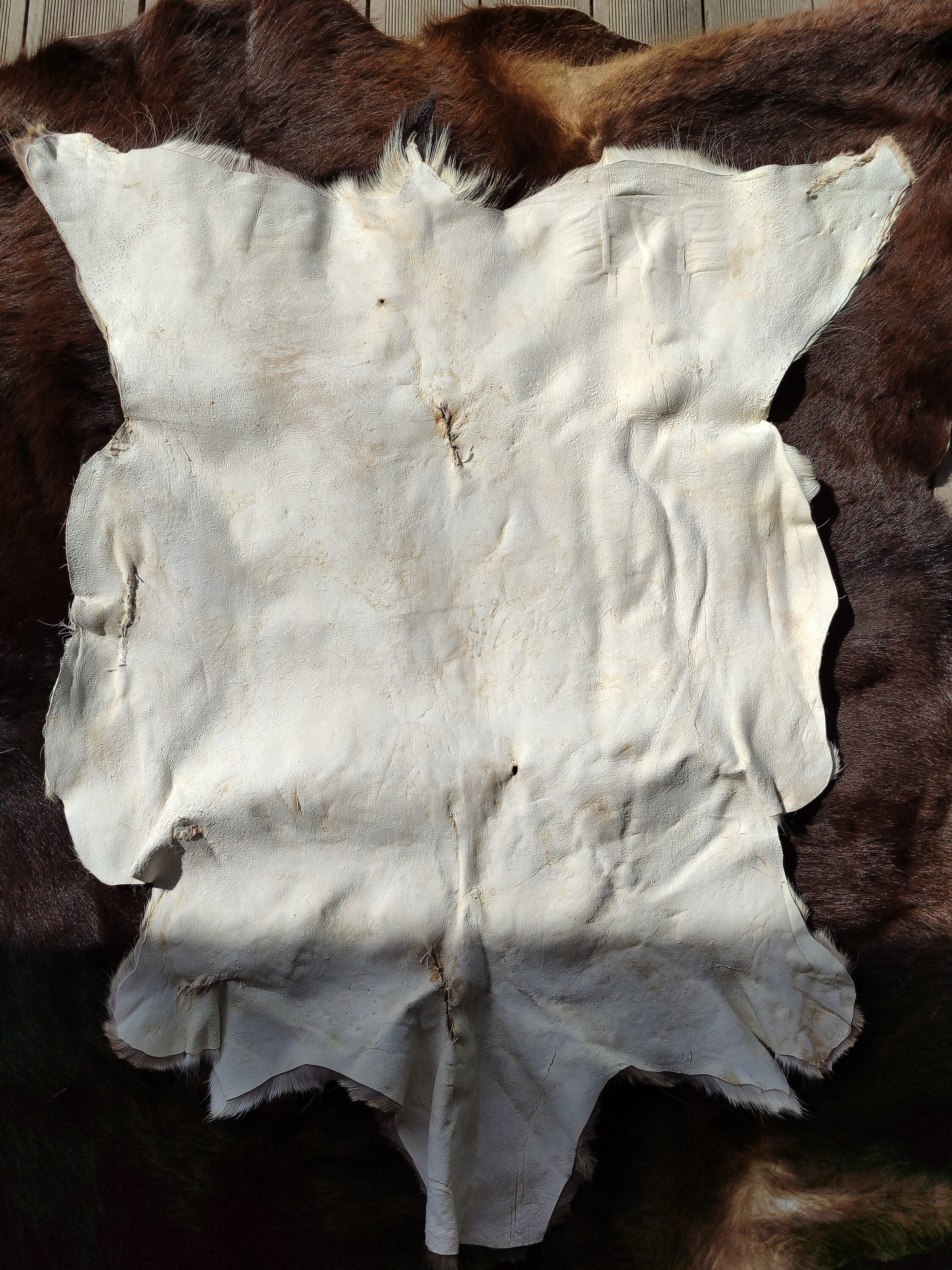 Fallow Deer Skin Roe Deer Skin Hide Fur Soft Area Rug Carpet Fluffy ...