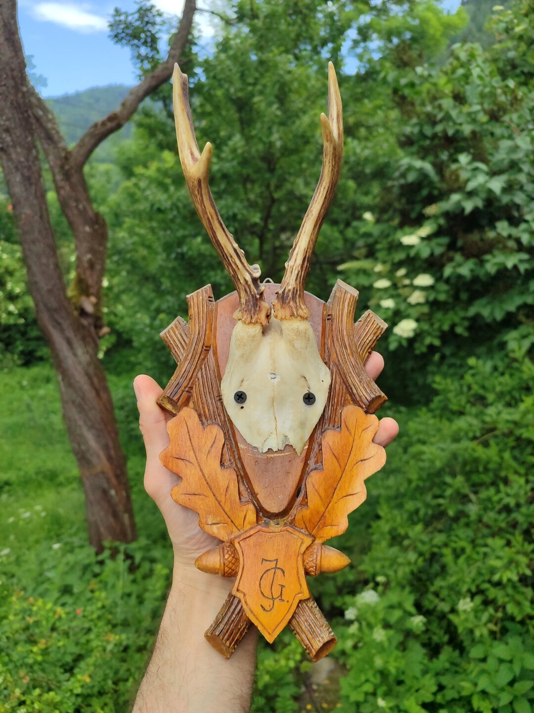 Large Roe Deer Antlers With Skull Wall Hanging Home Decor Shamanic ...