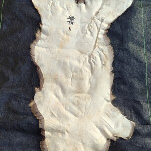 Roebuck Deer Skin Roe Deer Skin Hide Fur Soft Area Rug Carpet Fluffy ...