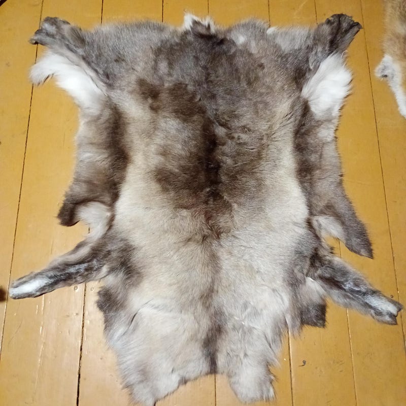 Wolf Skin Rug - Etsy