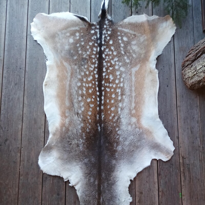 Deer Hide - Etsy