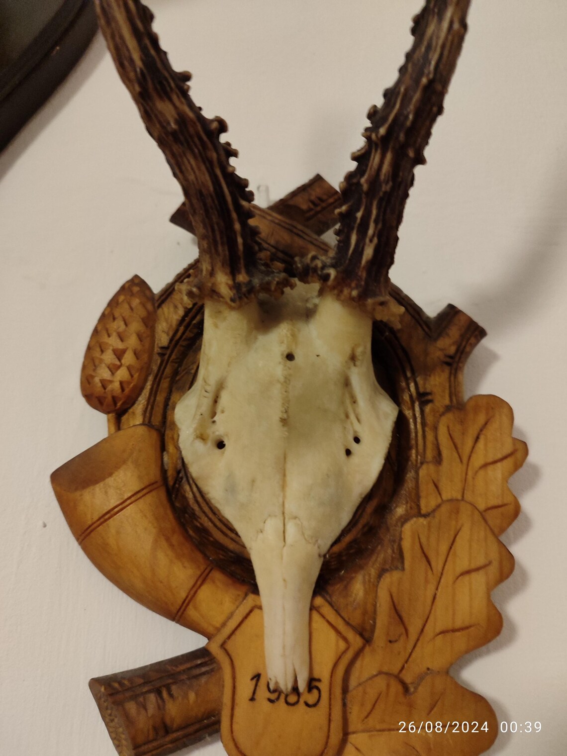 Roebuck Roe Deer Antlers With Skull Wall Hanging Home Decor Shamanic ...