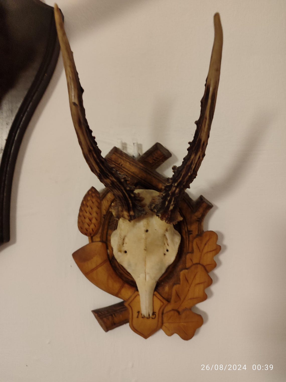 Roebuck Roe Deer Antlers With Skull Wall Hanging Home Decor Shamanic ...