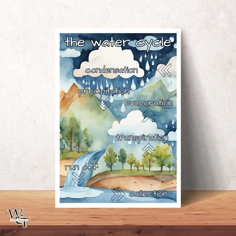 Water Cycle Poster - Etsy UK