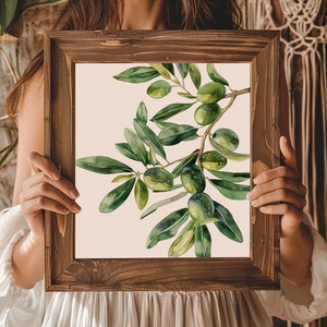 Poster Watercolor Olive Print,botanical Print,watercolor Olive Tree ...