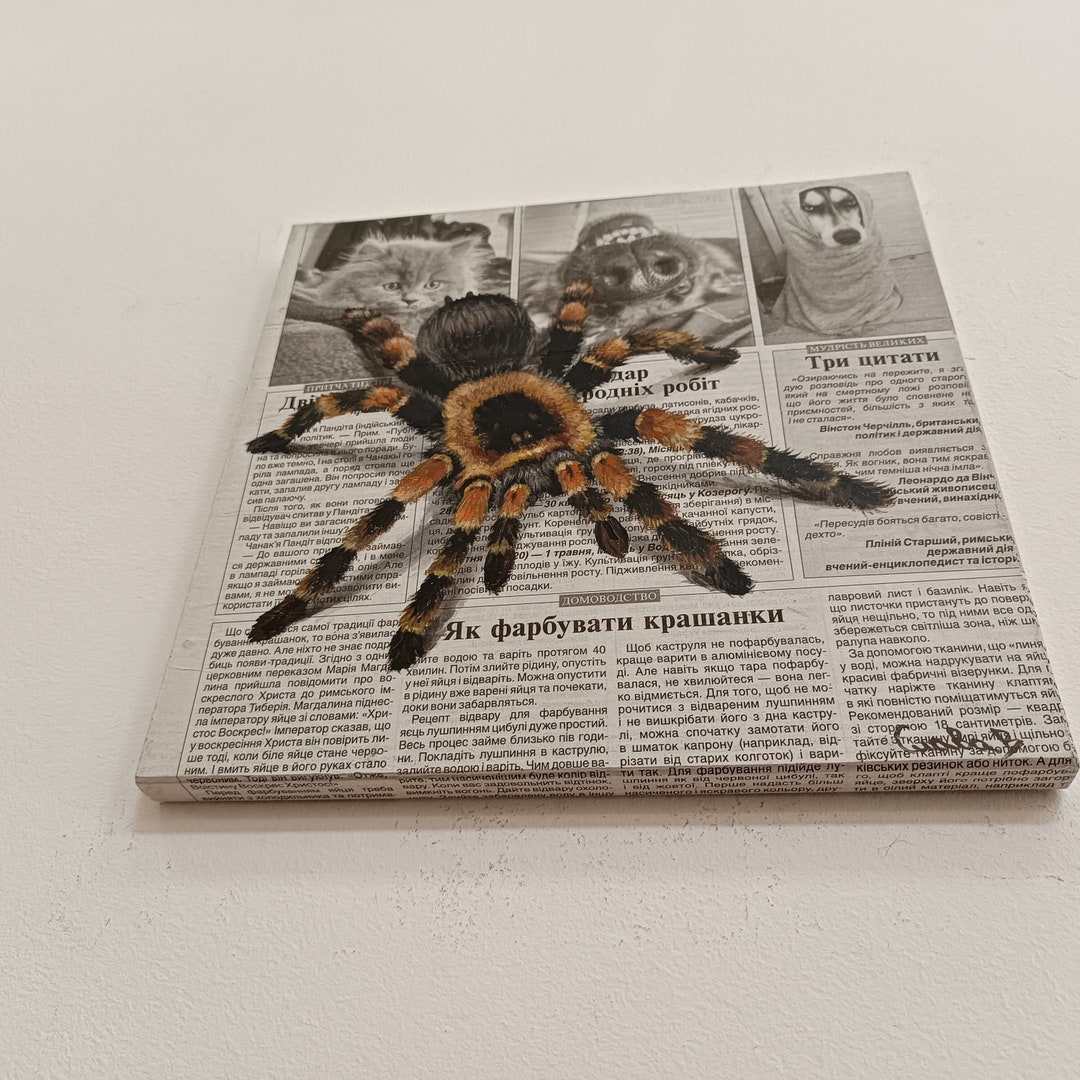 Spider Tarantula Painting on Newspaper Acrylic Painting 10x10 Inch ...
