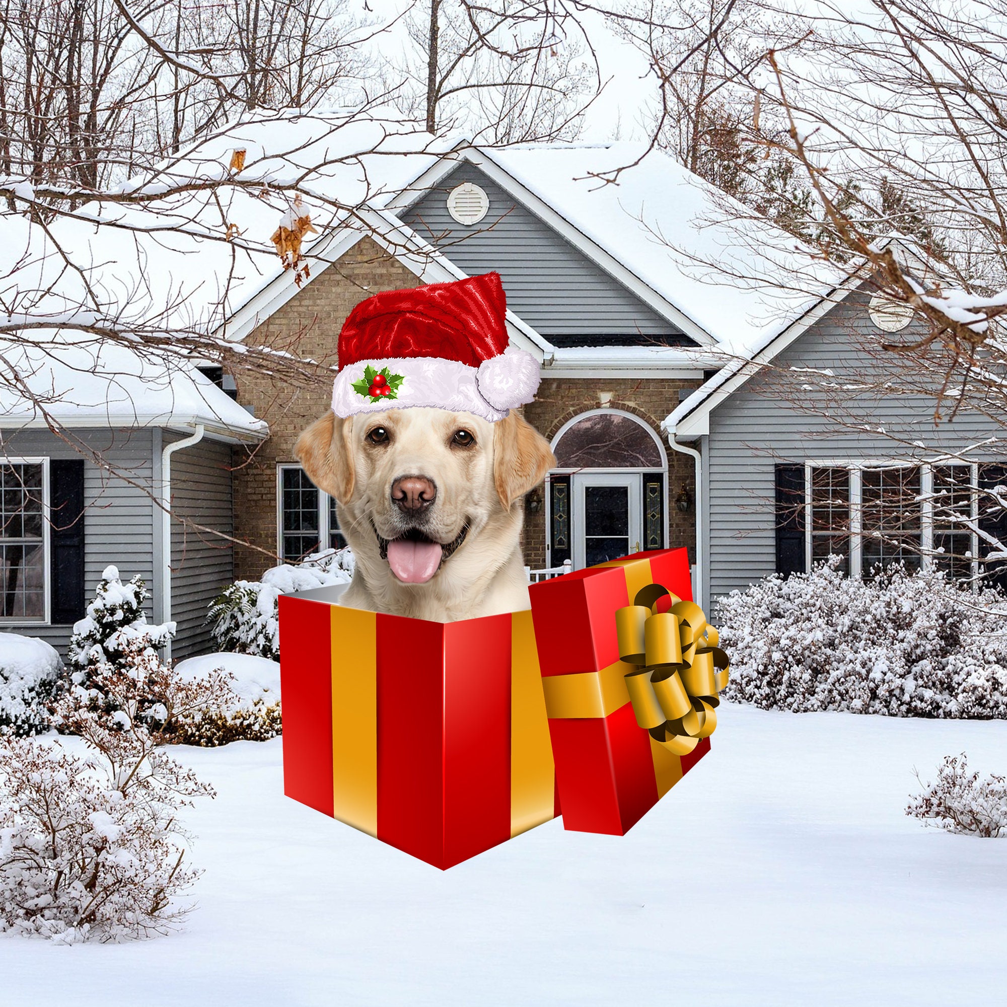 Merry Christmas Lab