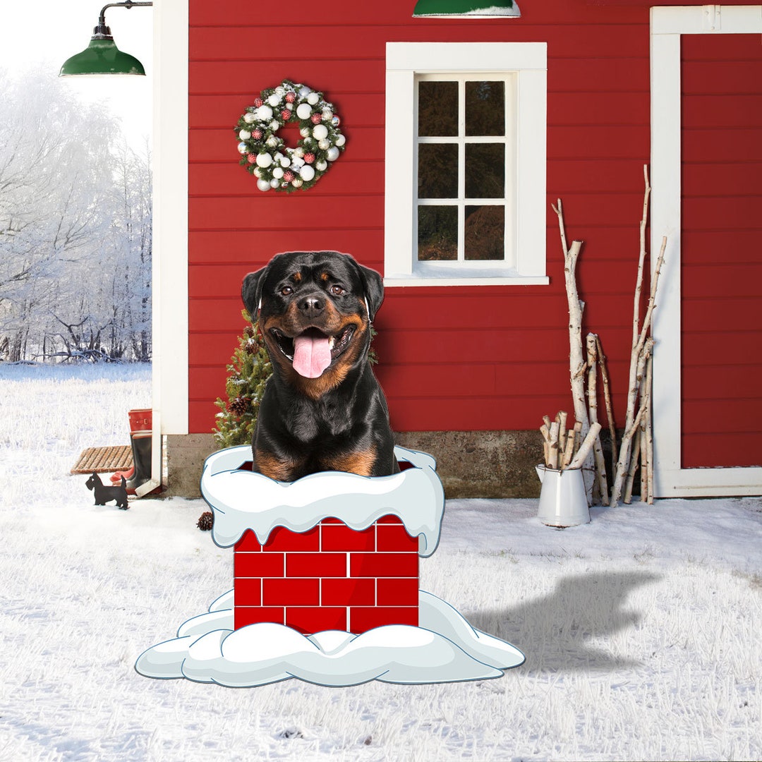 Rottweiler Dog Christmas Yard Sign Rottweiler Dog in Santa - Etsy
