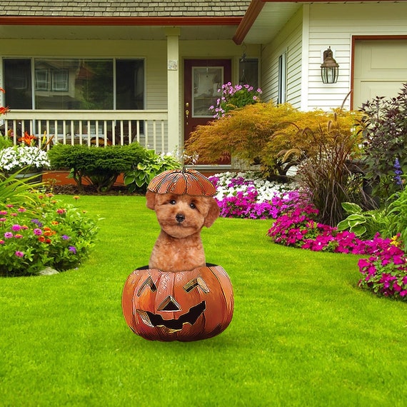 Halloween Poodle