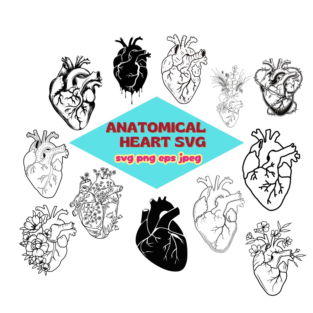 Anatomical Heart Svg Bundle, Flower Heart Svg, Human Heart Svg, Anatomy ...