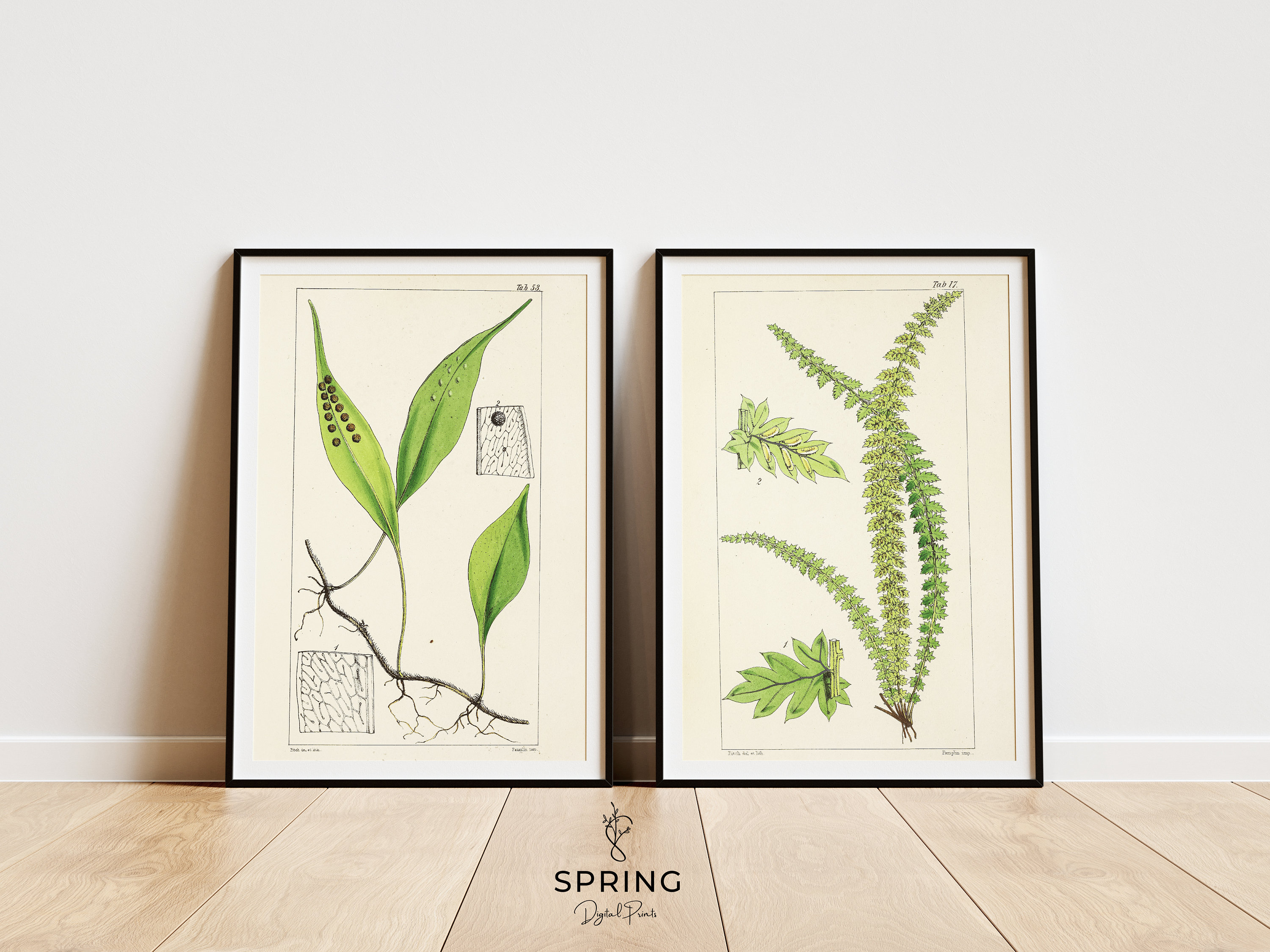 40 Vintage Fern Botanical Prints Botanical Wall Art Botanical Wall ...